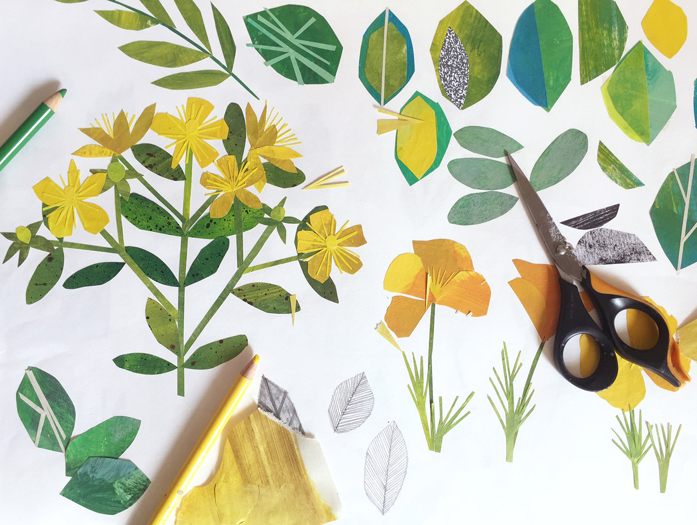 Interview with nature loving illustrator Clover Robin - Studio Noel