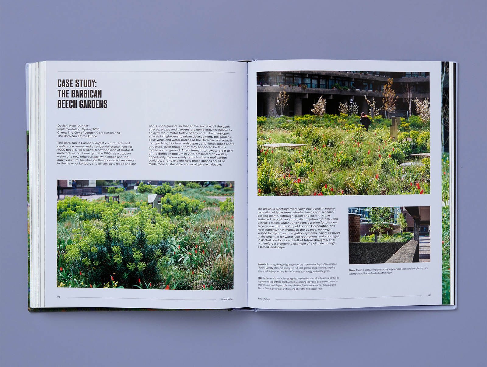 Naturalistic Planting Design by Nigel Dunnett : Studio Noel