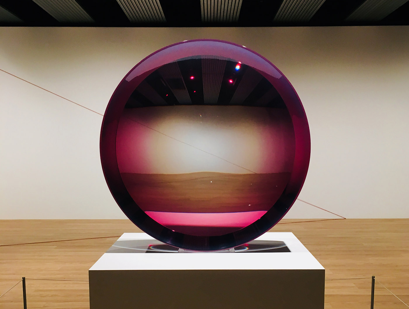 Shape Shifters exhibition at the Hayward Gallery - Studio Noel