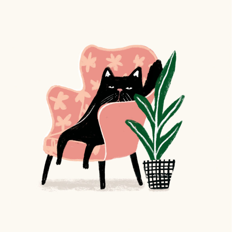 Introducing Abigail Burch, Illustrator of Everyday Wonders - Studio Noel